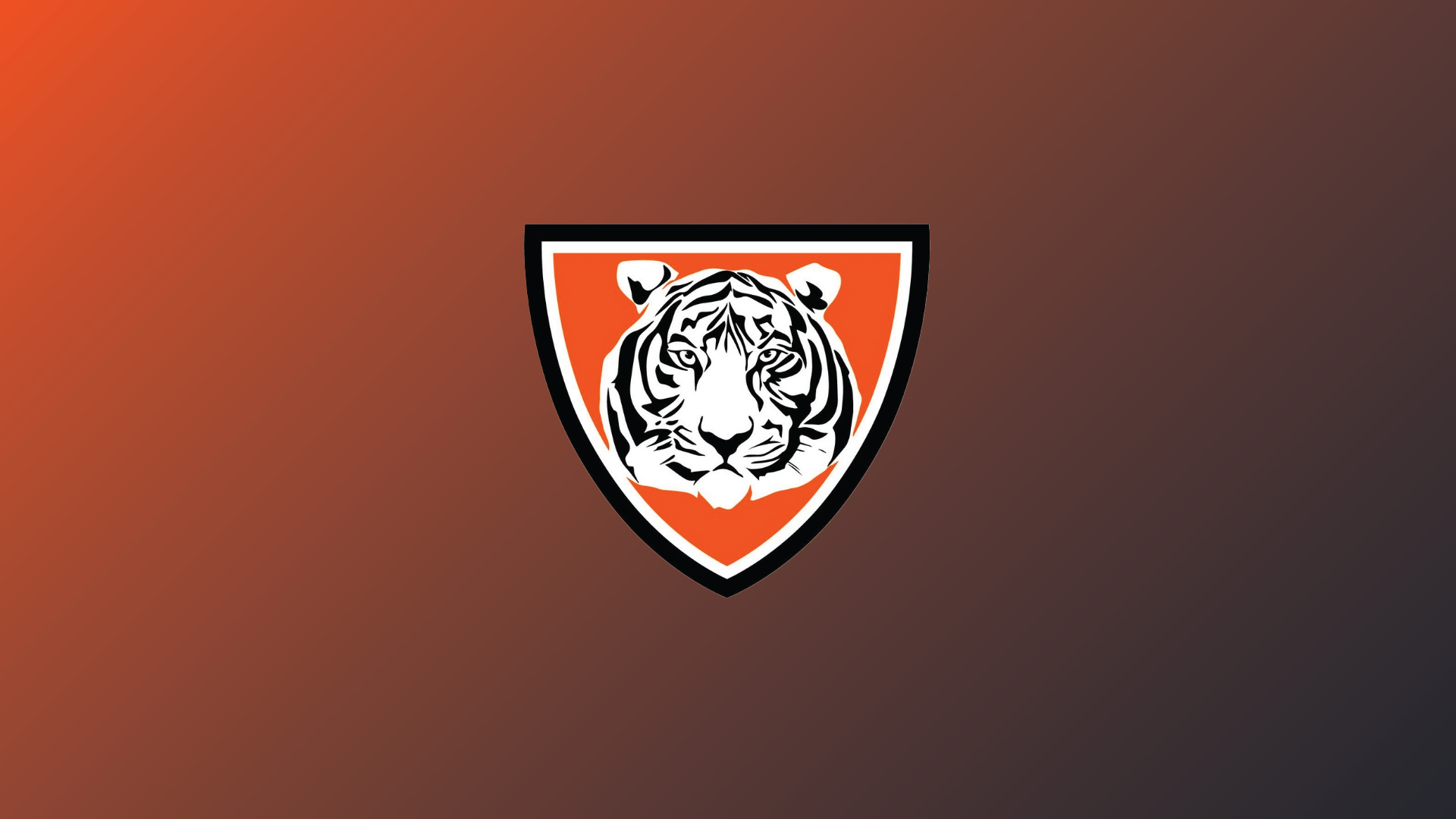 Just Content | Videography, Graphic Design & Photography